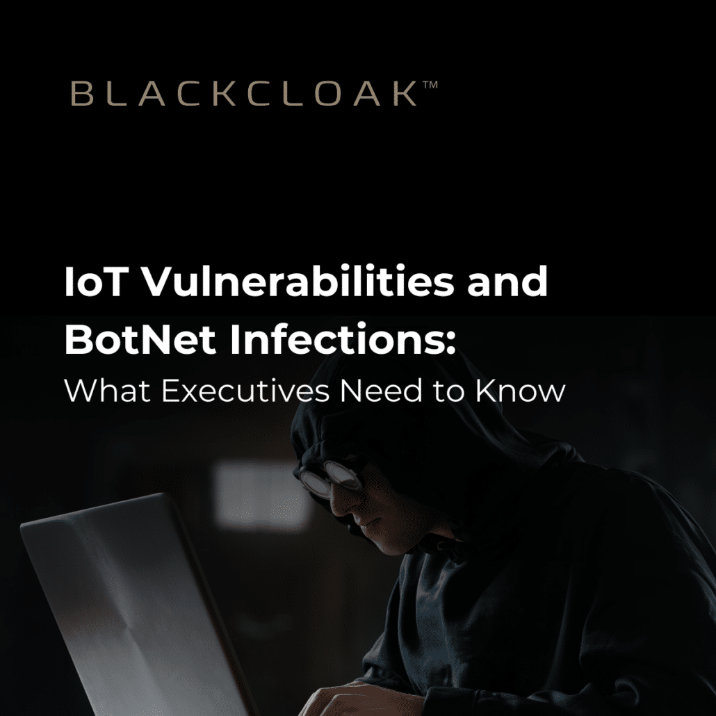 IoT Vulnerabilities & BotNet Infections: What Executives Must Know